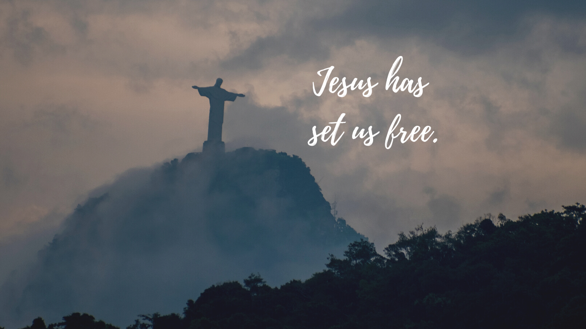 Set Free – Our Daily Masala