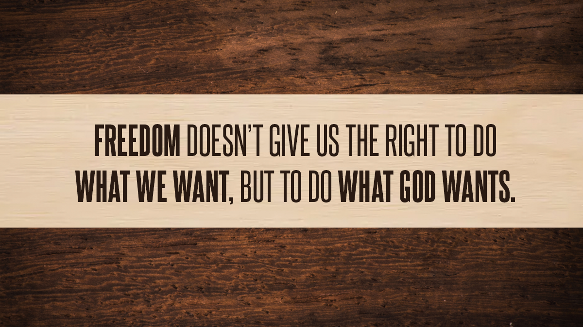 Dangerous freedom – Our Daily Masala